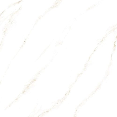 RT5813 Ceramic Floor Tile 22" X 22" — Greenwood Plaza