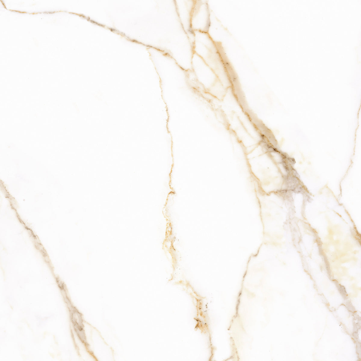 Florence Ceramic Floor and Wall Tile 21" X 21" — Greenwood Plaza