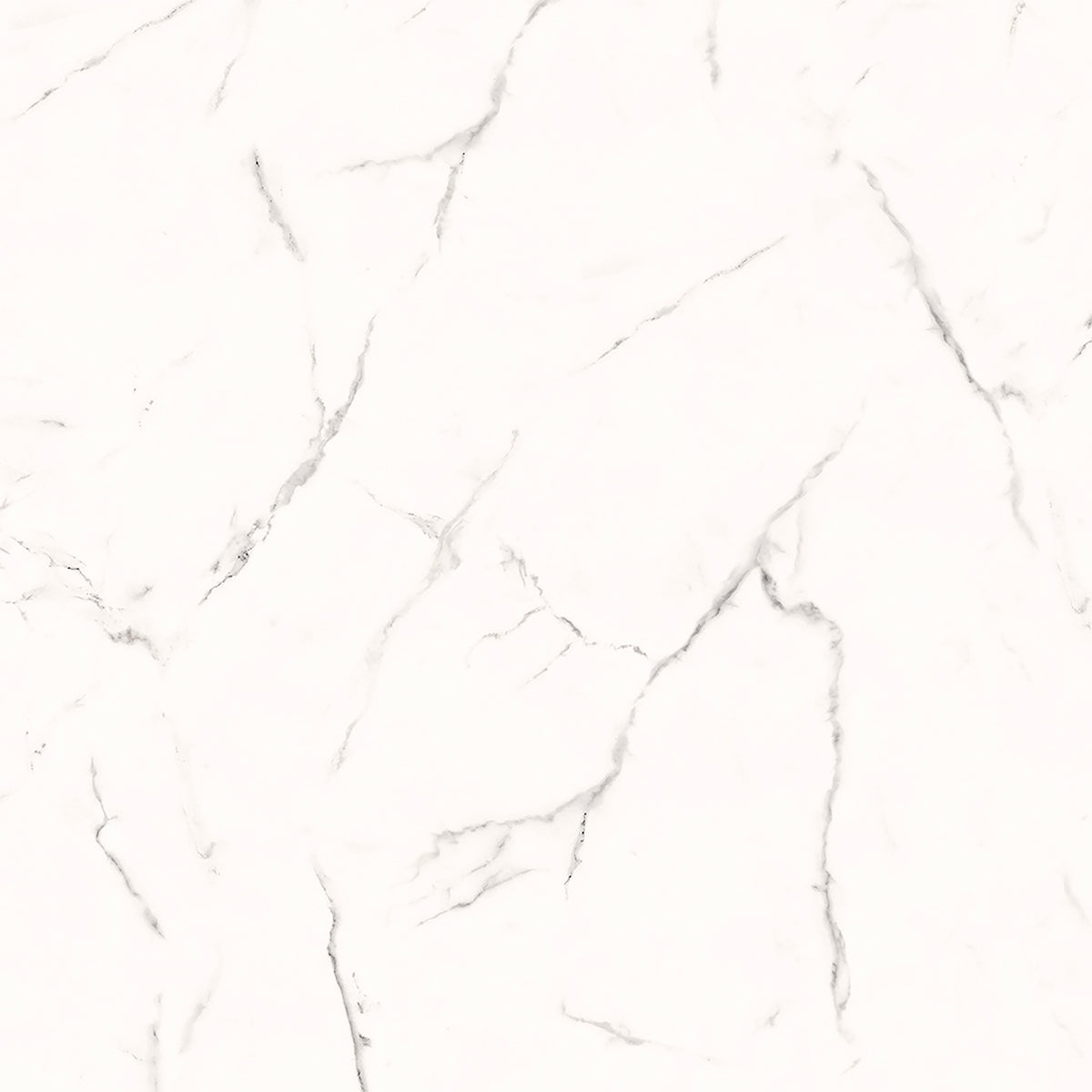 Piazza Plus Ceramic Floor and Wall Tile 24" X 24" — Greenwood Plaza