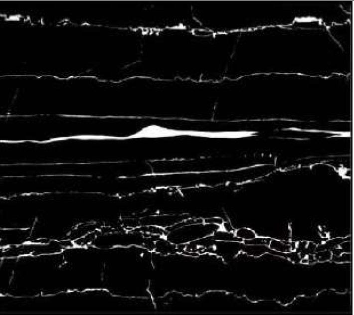 Vintage Black Porcelain Floor and Wall Tile 24" X 24" — Greenwood Plaza